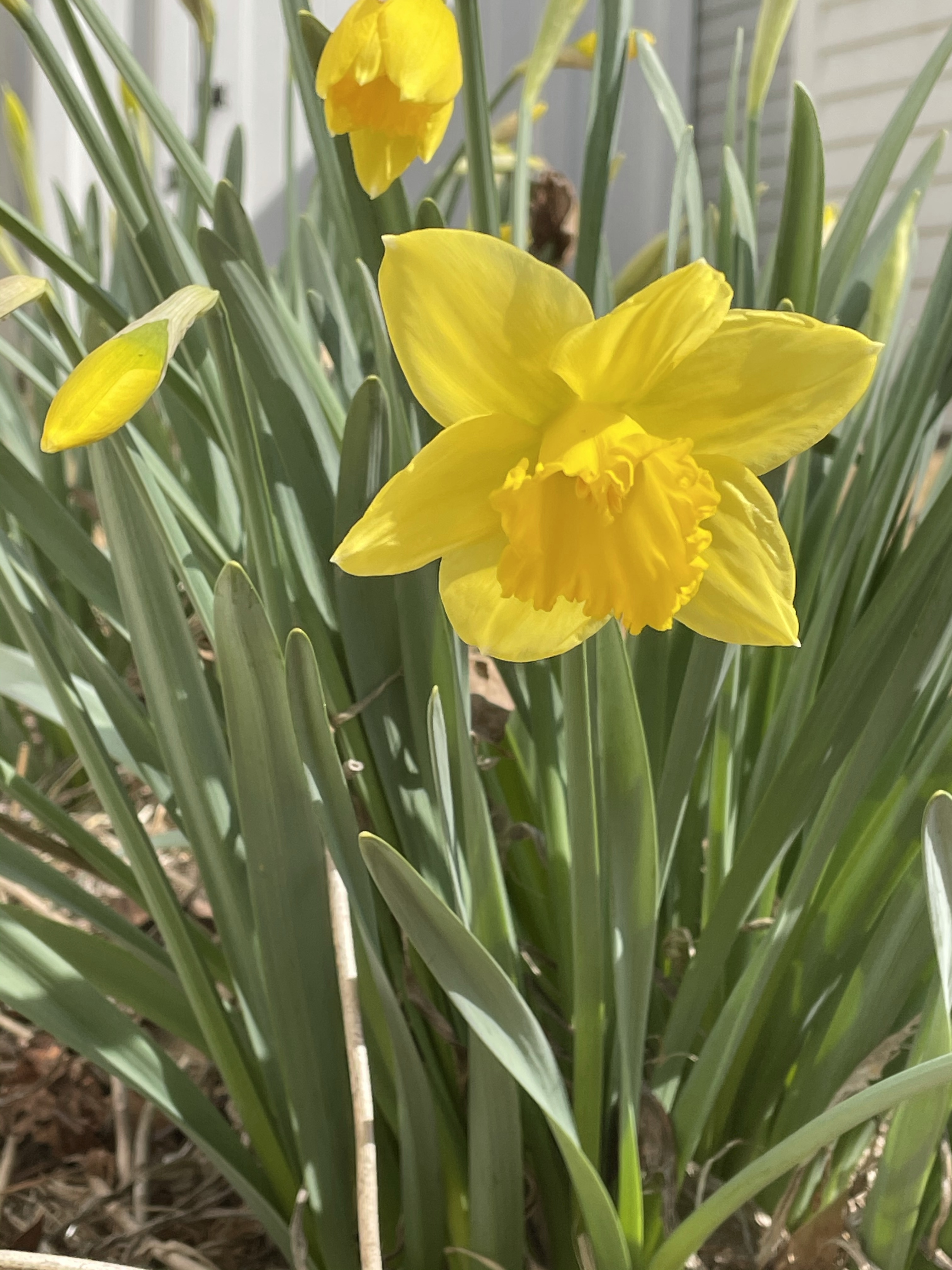 Officially Springtime! – A New Season